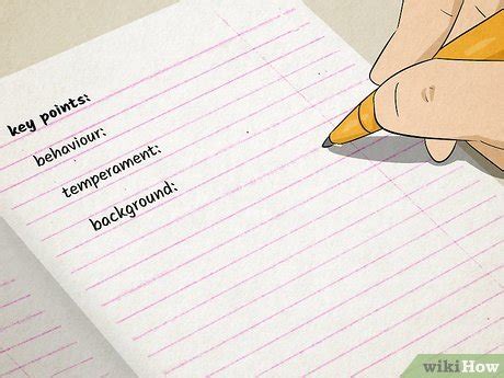 Image result for Interview Write Up Example