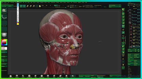 Image result for Facial Tutorial