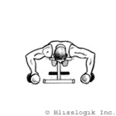 Image result for Back Fly Exercise