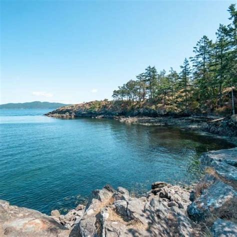 Image result for Local Salt Salt Spring Island