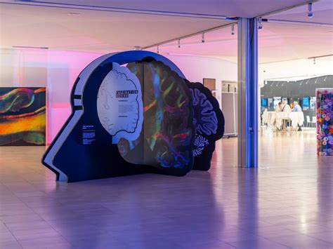 Image result for The Human Brain Map Project