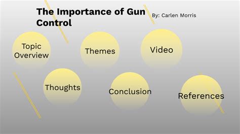 Image result for Gun Control Importance Image