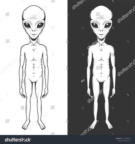 Image result for Alien Body Autopatsy