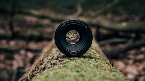 Image result for Depth of Field Photography Examples