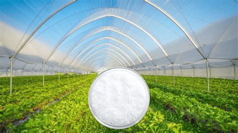 Image result for Additive Masterbatch