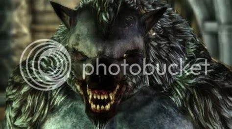 Image result for Age of Wolves