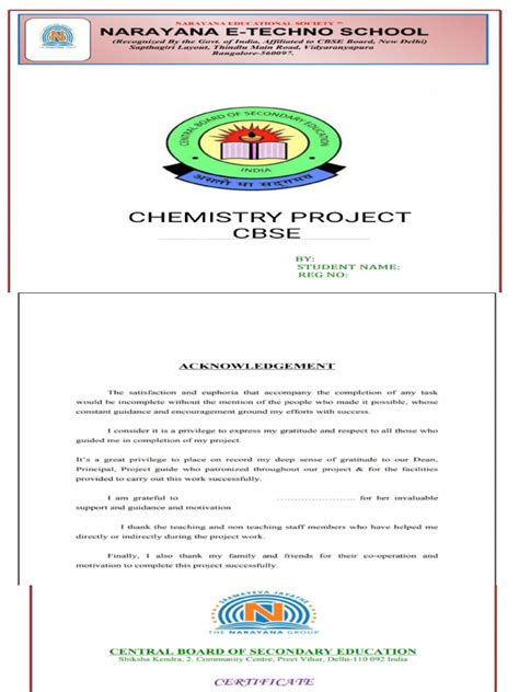 Image result for Class 12 Project Index in Creativity