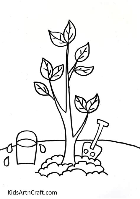 Image result for Planting a Tree Drawing
