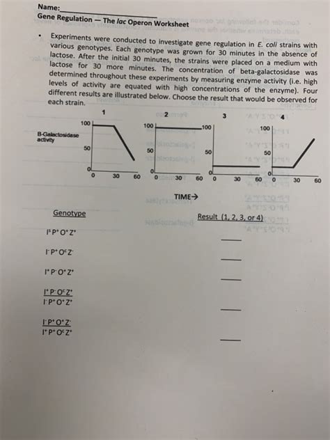 Image result for Lac Operon Worksheet