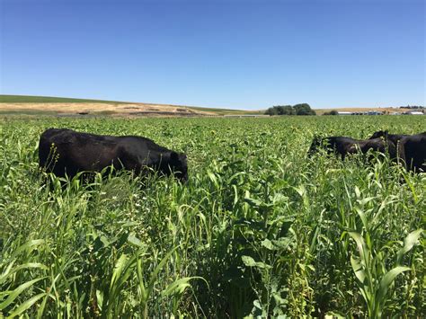 Image result for Voluntary Stewardship Program