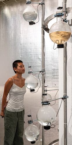 Image result for Sisel Tolas Work