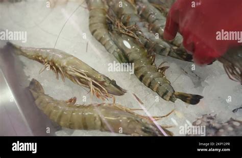 Image result for How to Cook Fresh Prawns in the Shell