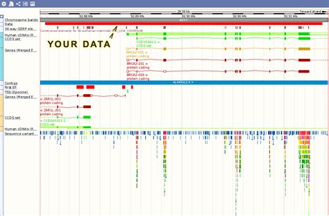 Image result for How to Run Generate FNIS for Users
