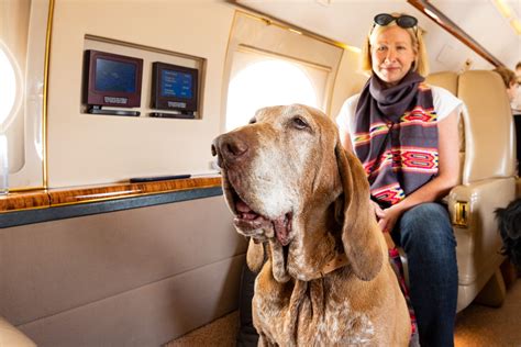 Image result for Relocation Agent