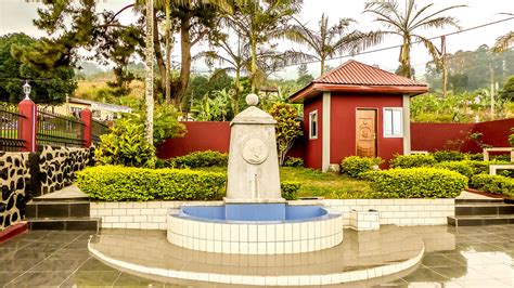 Image result for Python Buea Cameroon