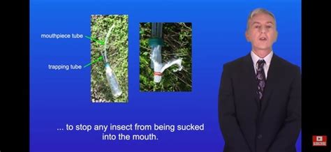 Image result for Random and Non Random Sampling a Level Notes