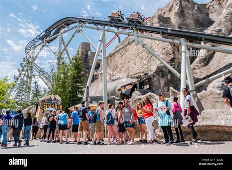 Image result for Roller Coaster Line