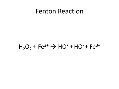 Image result for H2O2 Cell Reaction