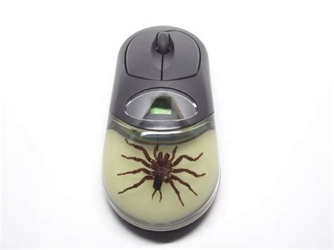 Image result for Weirdest Computer Mouse