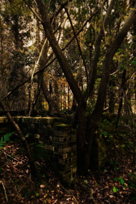 Image result for Creating Environments