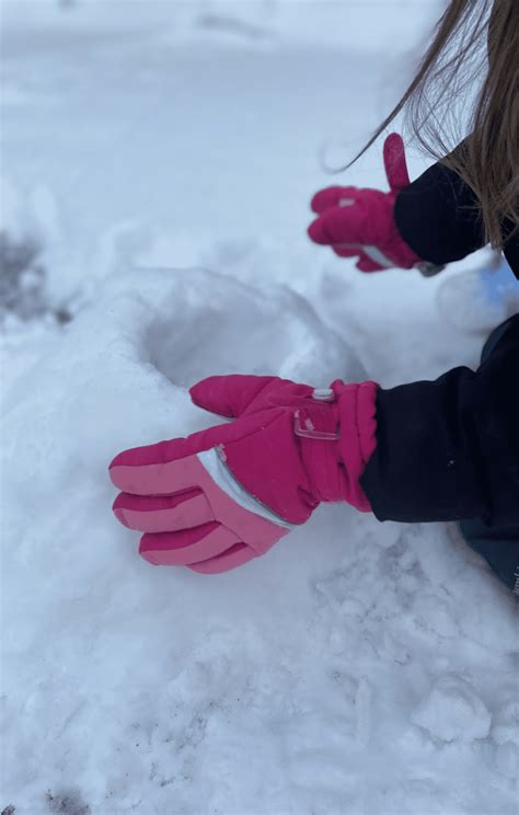 Image result for Snow Volcano