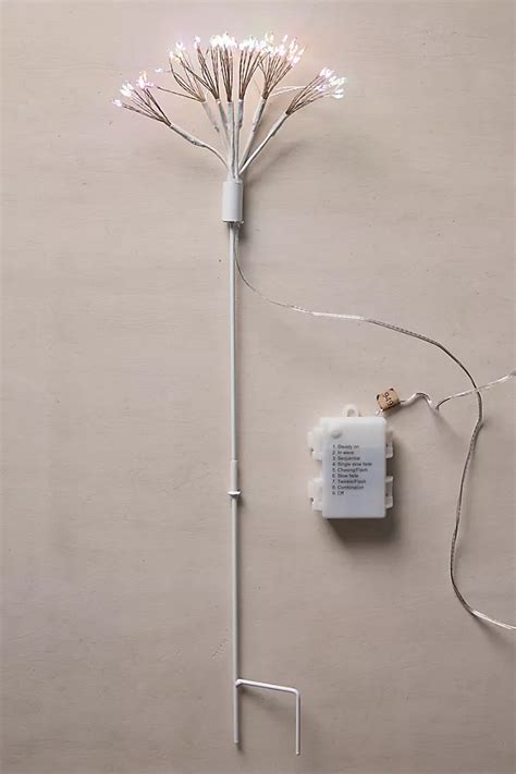 Image result for Tanstack Light