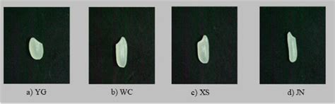 Image result for Chapter 12 Milled Rice