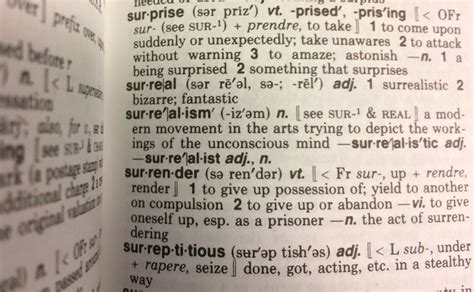 Image result for Dictionary Words Definitions