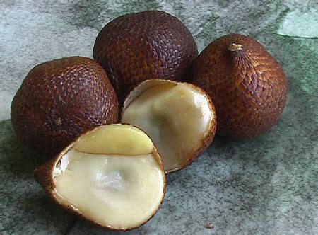 Image result for Alien Vegetables