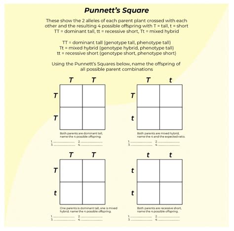 Image result for Punnett Square Tutorial