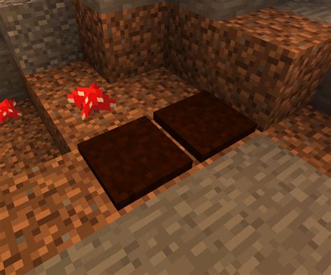 Image result for Minecraft Visual Mods