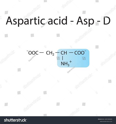 Image result for ASP Structure
