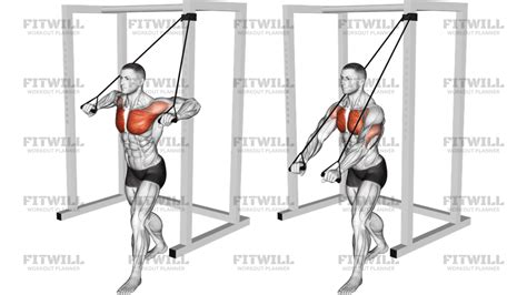 Image result for Banded Chest Fly Exercise