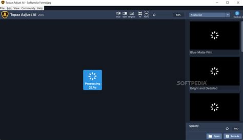 Image result for Topaz Adjust AI Tutorial