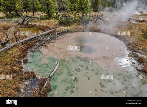 Image result for Divided Highway Sign