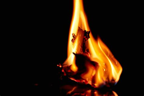 Image result for Free Fire Animation