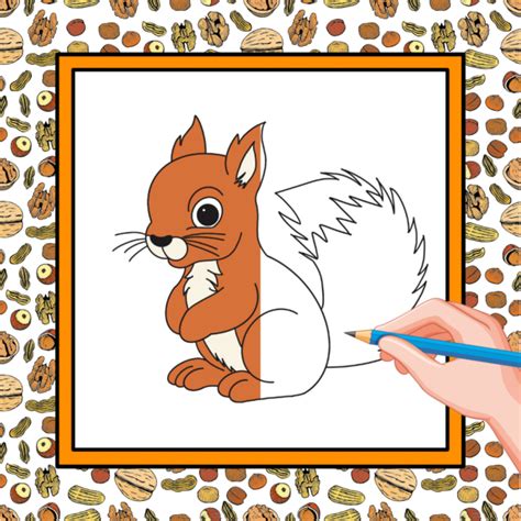 Image result for Squirrel Drawing Tutorial