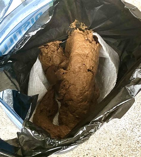 Image result for Clogged Poop