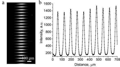 Image result for Interferometer Interference Patterns