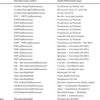 Image result for Convert BMP File 24-Bit RGB Color