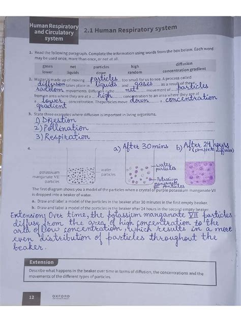 Image result for Chapter 2 Science Work and Energy Question Answer