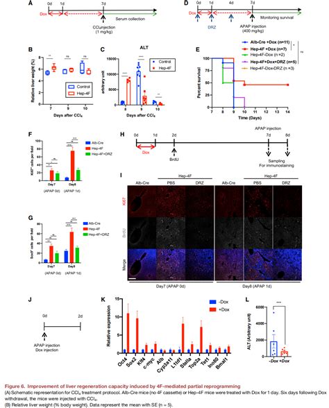Image result for Partial Reprogramming