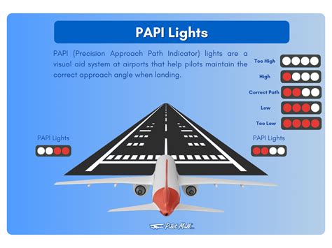 Image result for Papi vs Apapi