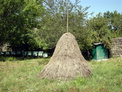 Image result for Using Pyhaystack