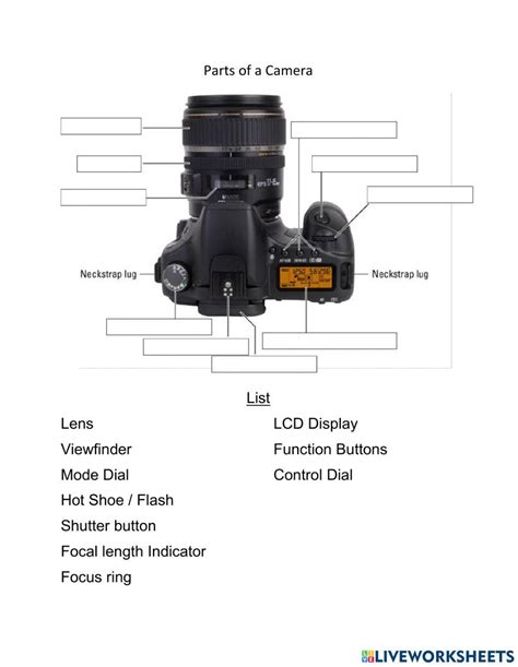 Image result for How a Camera Works Lesson