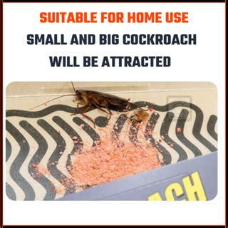 Image result for Cockroach Lizard Trap