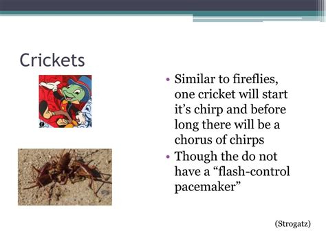 Image result for Video Synchronization