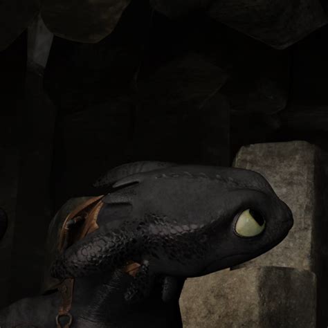 Image result for Toothless Mate
