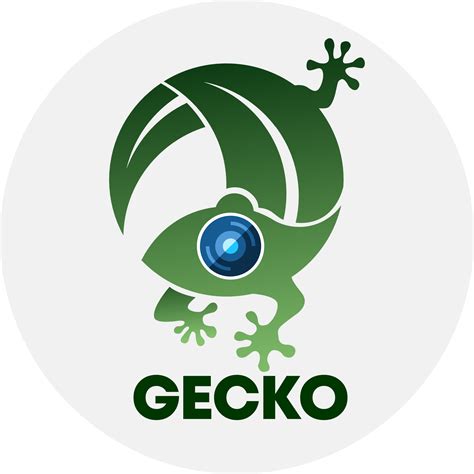 Image result for Gecko Technology