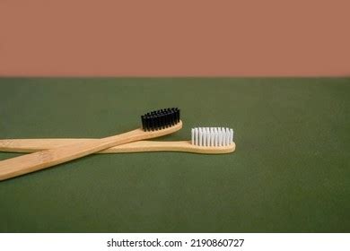 Image result for Toothbrush Front View